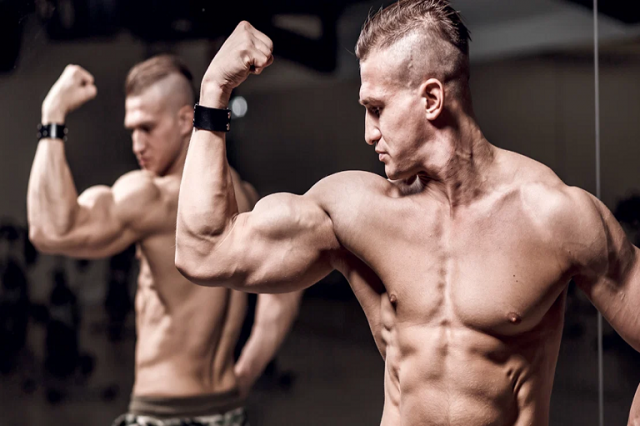 4 Fundamentals to Building Lean Muscle Mass - EMR Industry